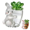 Agiufgs Glass Storage Jar with Lid 7.87 in X 5.91 in, Clear Glass Candy ...