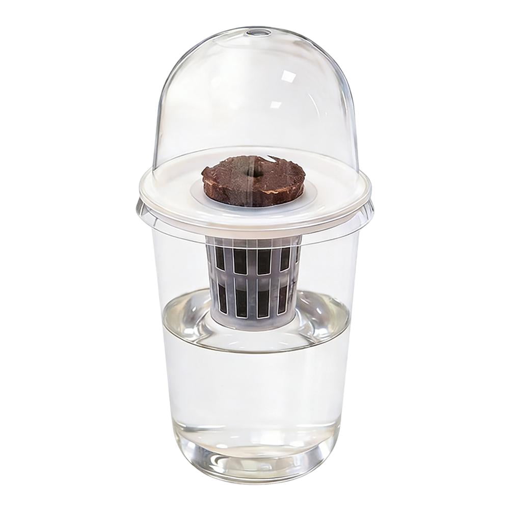 Agiufgs Hydroponic Seedling Cup Clear Plastic, Accelerates Germination ...