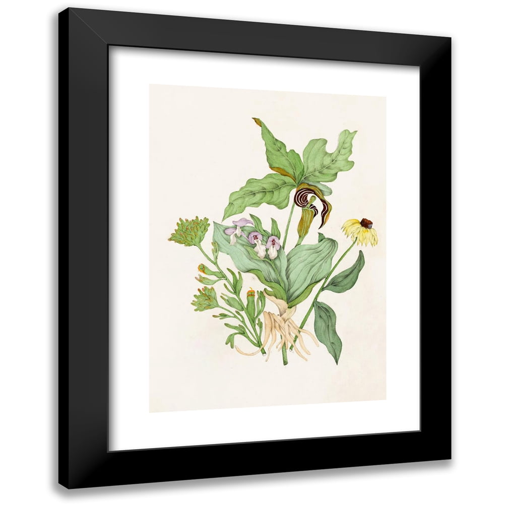 Agnes Fitzgibbon 14x18 Black Modern Framed Museum Art Print Titled ...