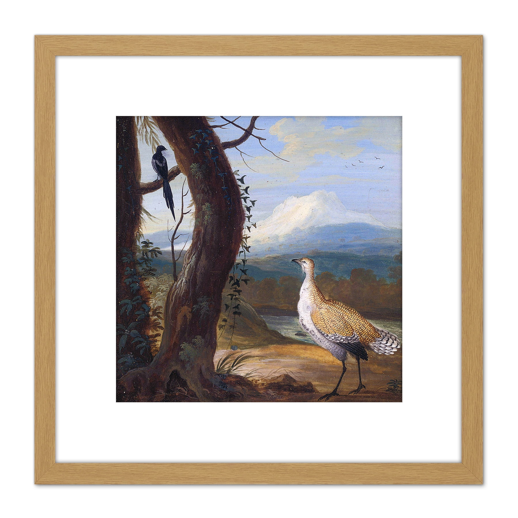 Agricola Bustard Magpie Exotic Landscape Painting 8X8 Inch Square ...