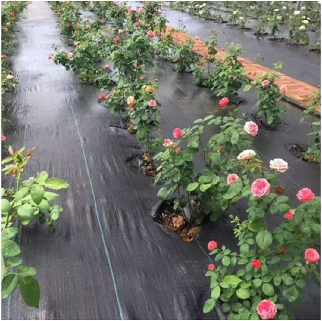 Agricultural Anti Grass Cloth Black Plastic Mulch Film,for Garden ...