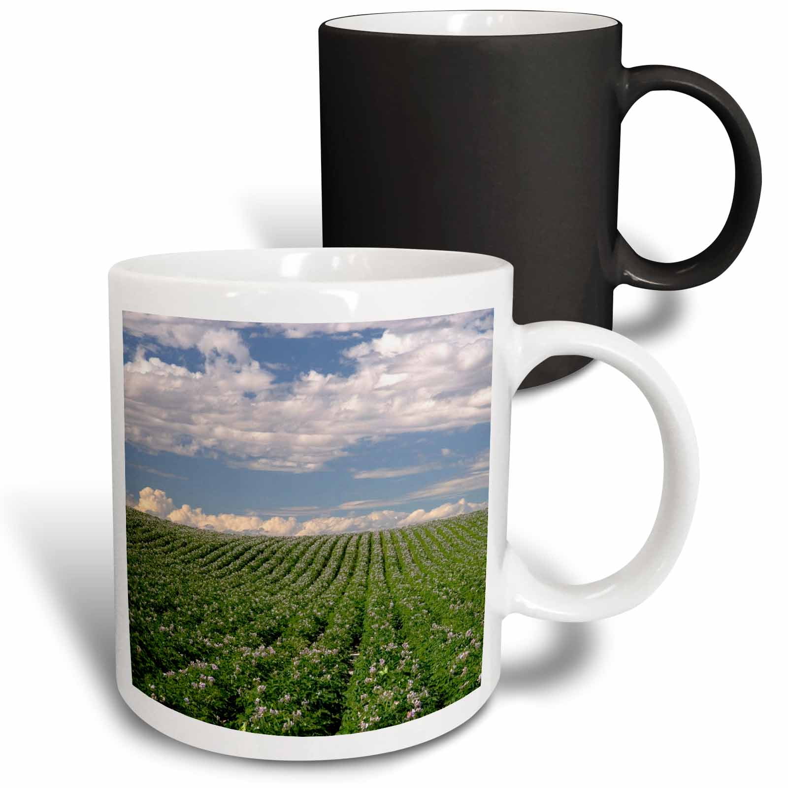 3drose, Agriculture, Potato Crop, Idaho - Us13 Dfr0281 - David R ...