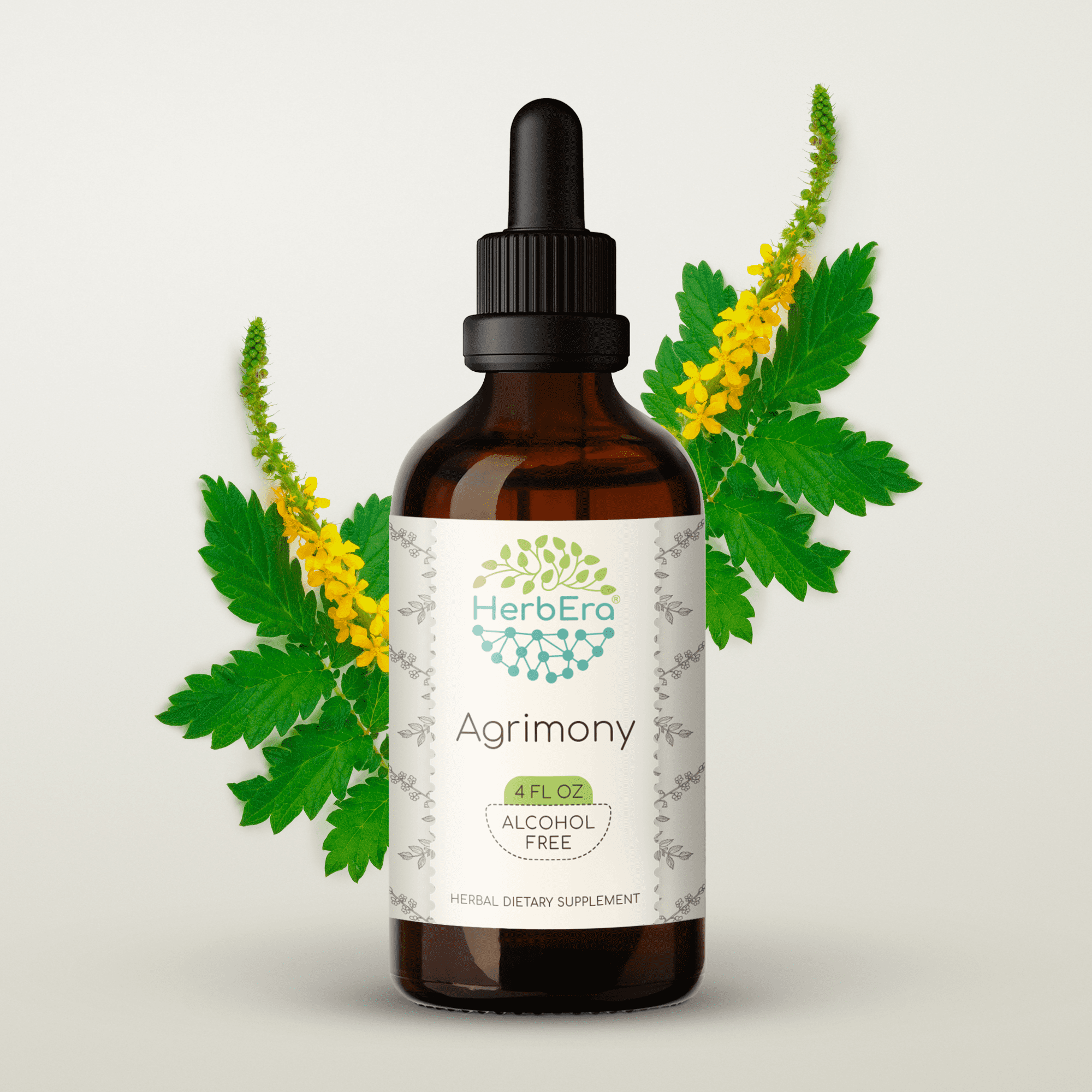 Agrimony Alcohol-FREE Herbal Extract Tincture, Super-Concentrated ...