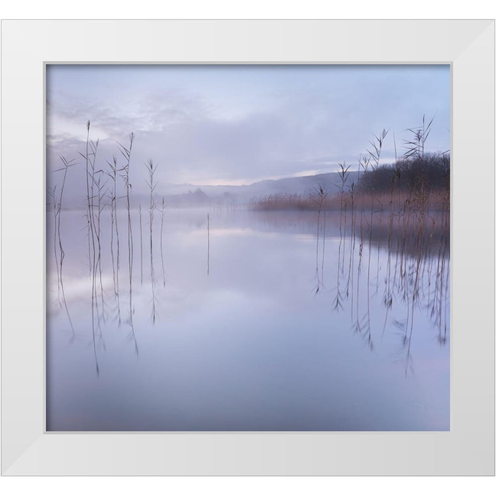 Ahern, David 22x20 White Modern Wood Framed Museum Art Print Titled ...