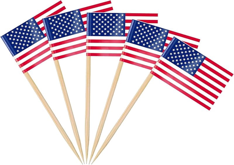 AhfuLife Canada Flag Toothpick Flags Picks, 100 Pcs Small Tiny Canada ...