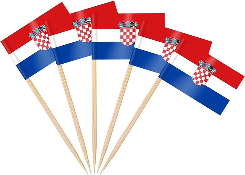 AhfuLife Canada Flag Toothpick Flags Picks, 100 Pcs Small Tiny Canada ...