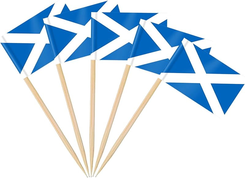 AhfuLife Canada Flag Toothpick Flags Picks, 100 Pcs Small Tiny Canada ...