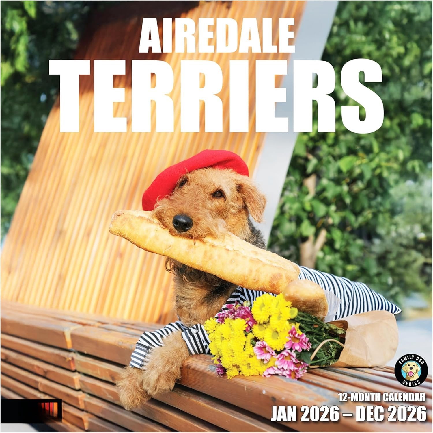 Aiale Terriers 2026 Wall Calendar 12 Month | 12" x 24" Open | Thick ...