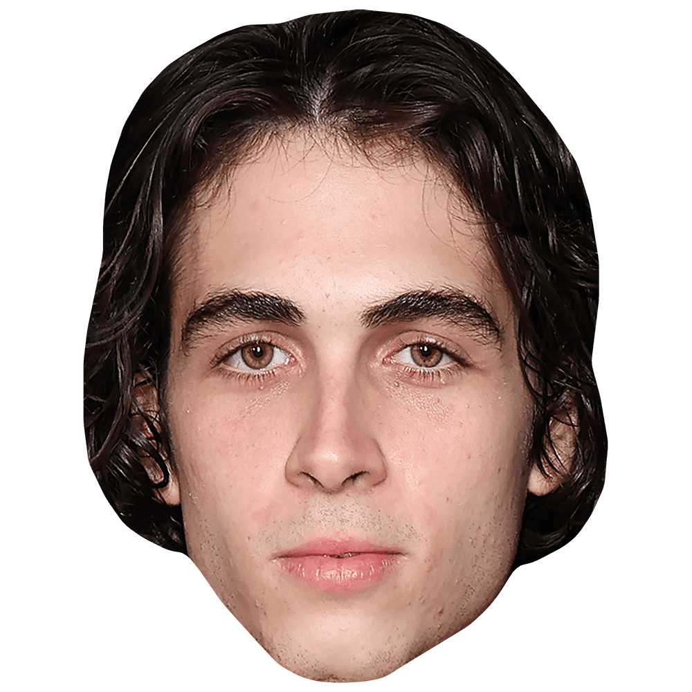 Aidan Bissett (Dark Hair) Celebrity Mask, Flat Card Face, Fancy Dress ...
