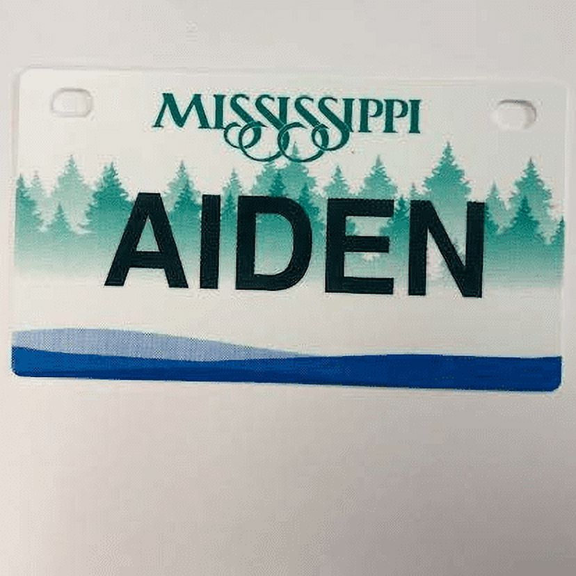 Aiden Mini Bike Plate - Mini Size - Walmart.com