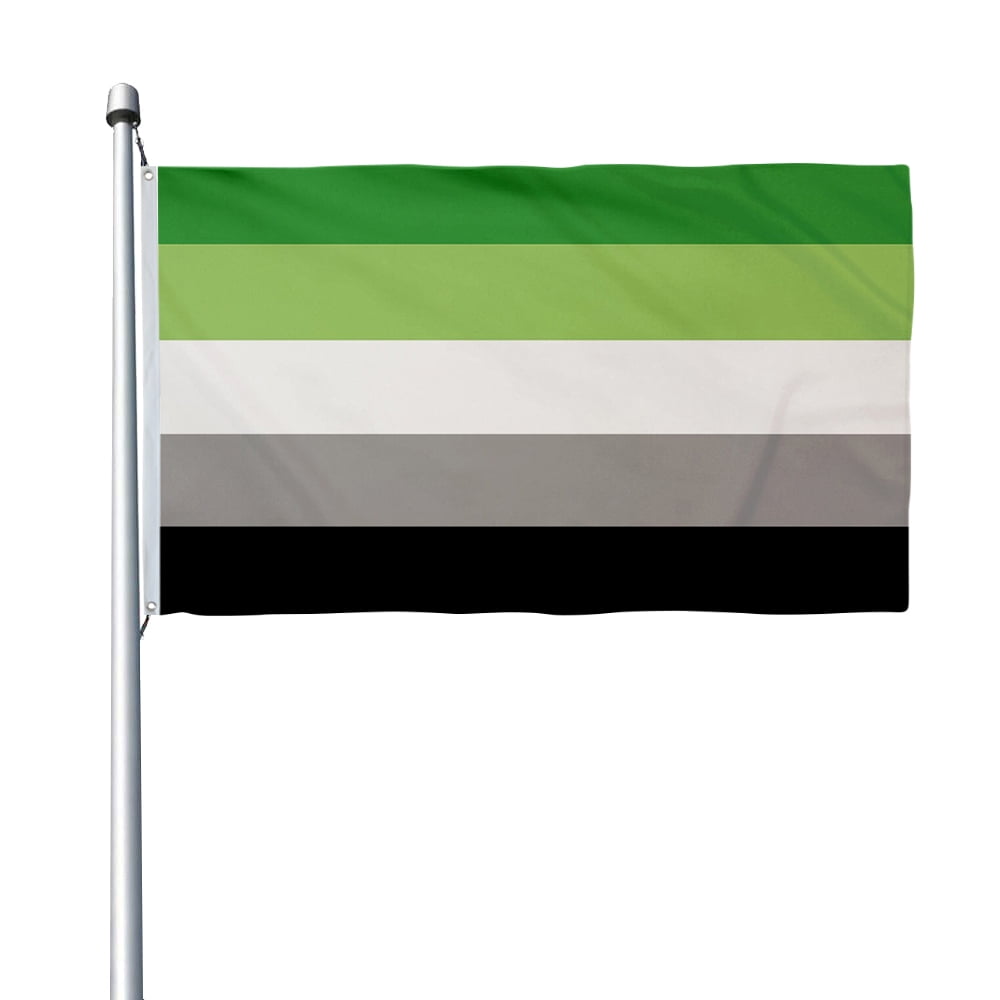 Aihccy Aromantic Flag with Brass Grommets Size - 3x5Ft - Walmart.com