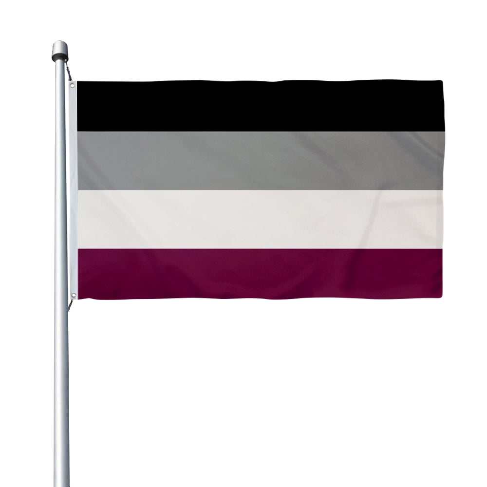Aihccy Asexual Flag with Brass Grommets Size - 3x5Ft - Walmart.com