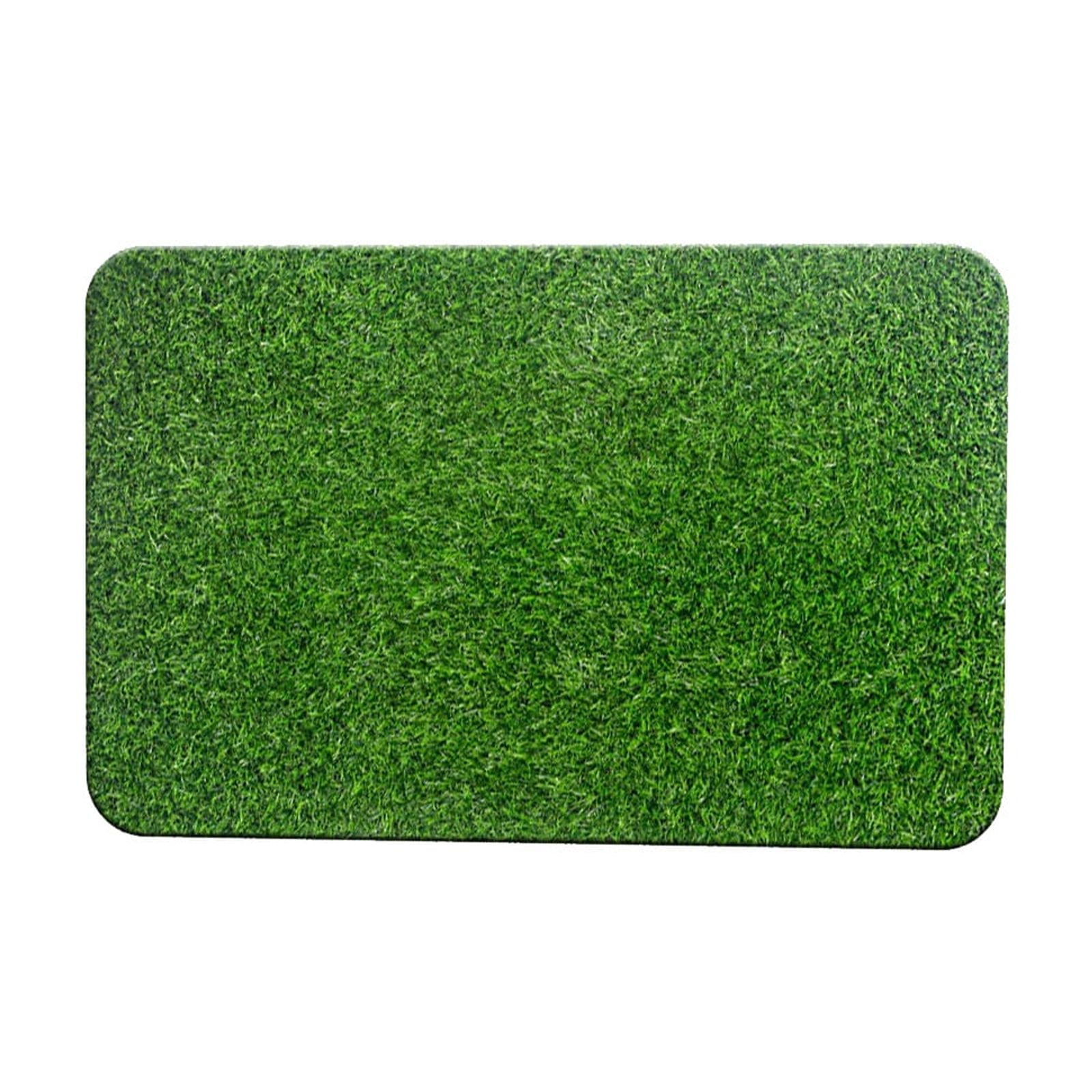 Aihimol Quick Dry and Washable indoor Door Mat Non Slip Absorbent Dirt ...