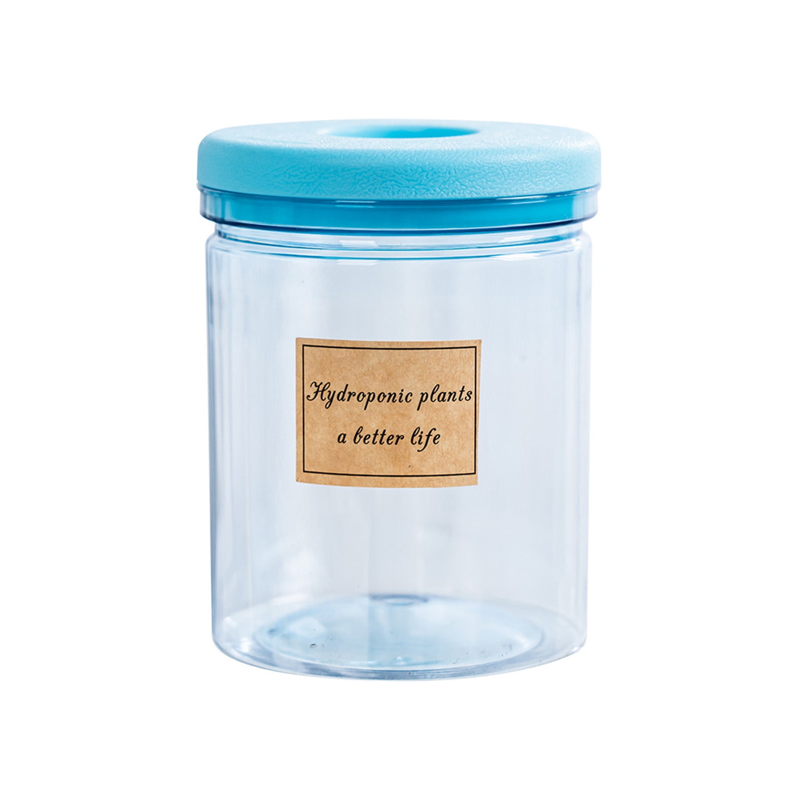 Aihimol Transparent Hydroponic Small Potted Plant Pots, Indoor Living ...