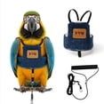 Ailezt Parrot Leash And Harness Training For Flight Control And Outdoor ...