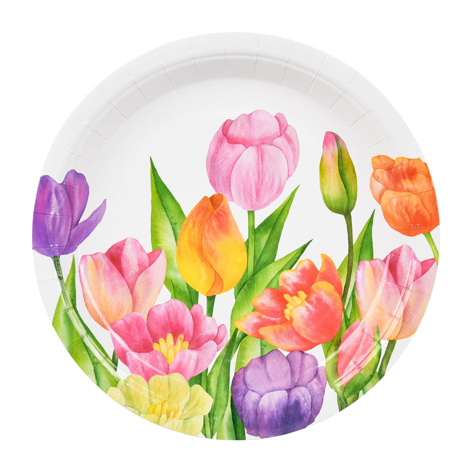 AimFun 48Pcs Tulip Floral STF9 Party Plates Tulips Flower Paper Plate 7 ...