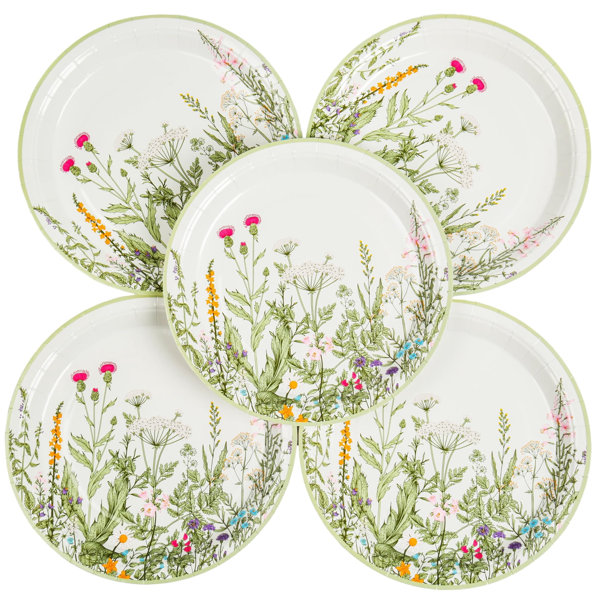 AimFun Wildflower Party Plates DHF10 9" Floral Paper Plates Botanical ...