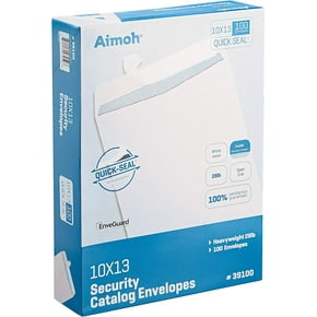 Security Envelopes in Envelopes - Walmart.com