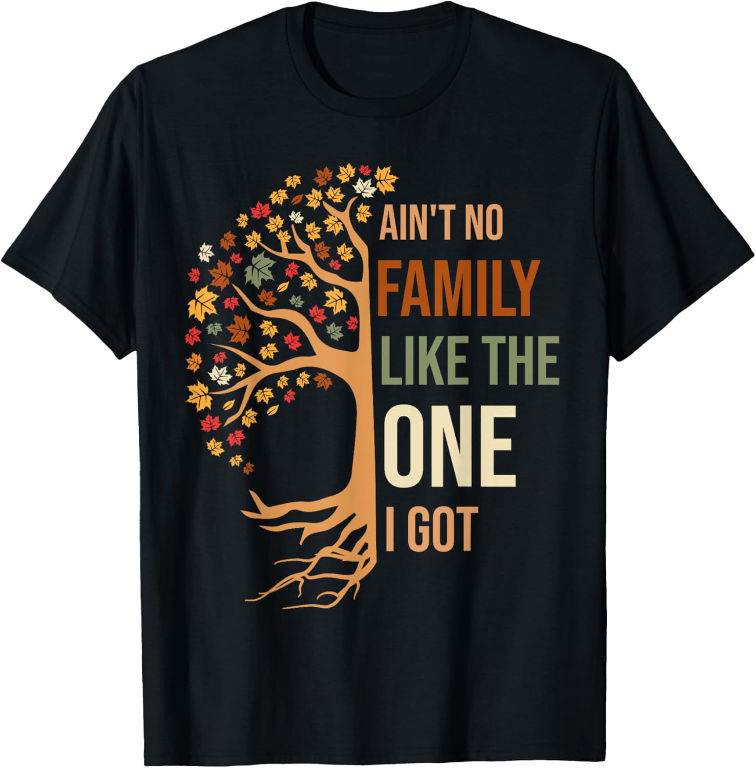 Ain't No Family Like The One I Got Funny Family Reunion 2024 T-Shirt ...