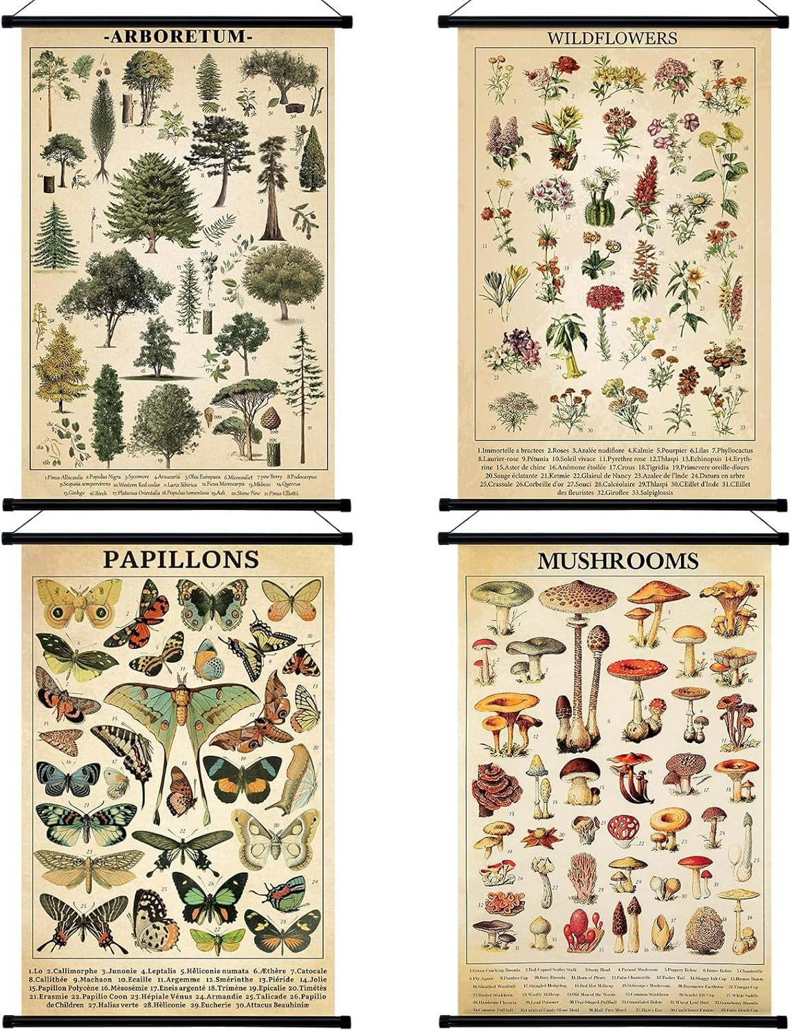 Aingg 4 Pcs Vintage Mushroom Wildflowers Poster Fungus Butterfly Tree Wall Hanging Prints ...