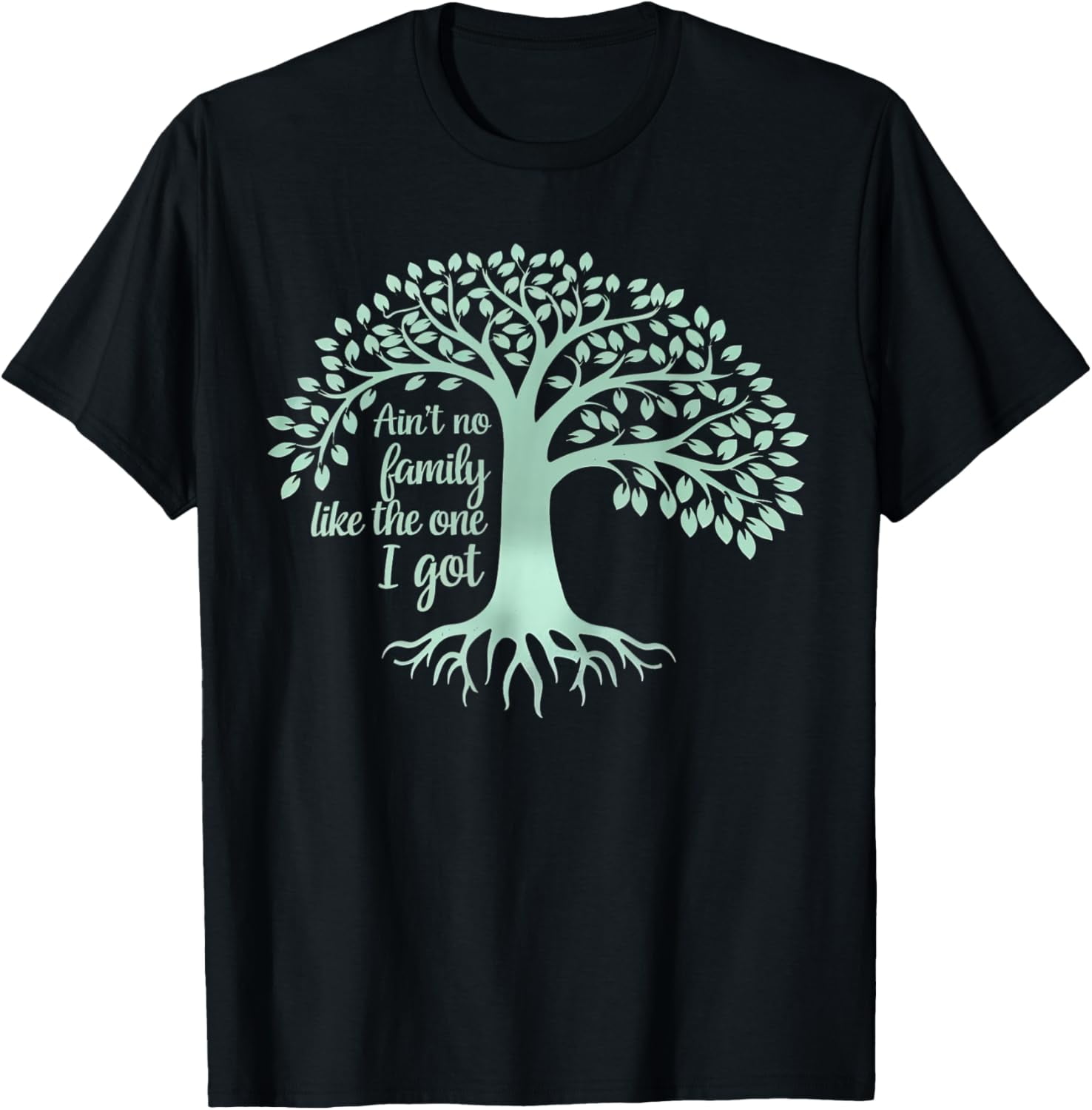 Aint No Family Like One I Got Family Reunion Family Matching T-Shirt ...