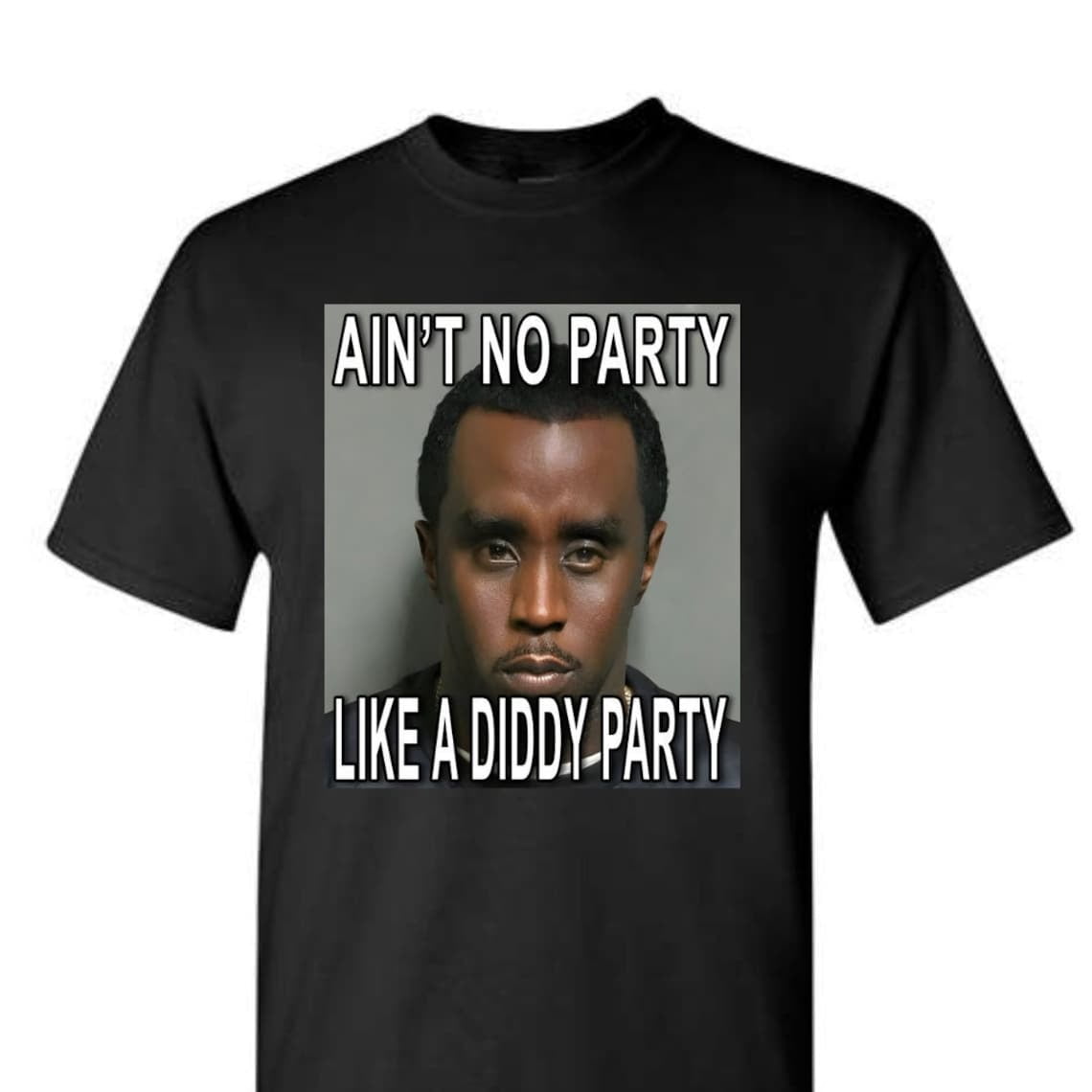 Aint No Party Like a Diddy Party, funny t-shirt, More sizes and colors available - Walmart.com