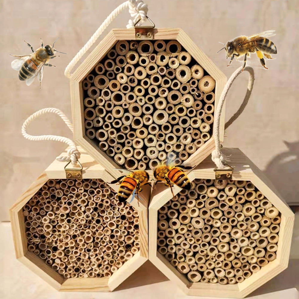 Aippl Creative Wooden Tube Bee Hive Insect House Mating Box Garden ...