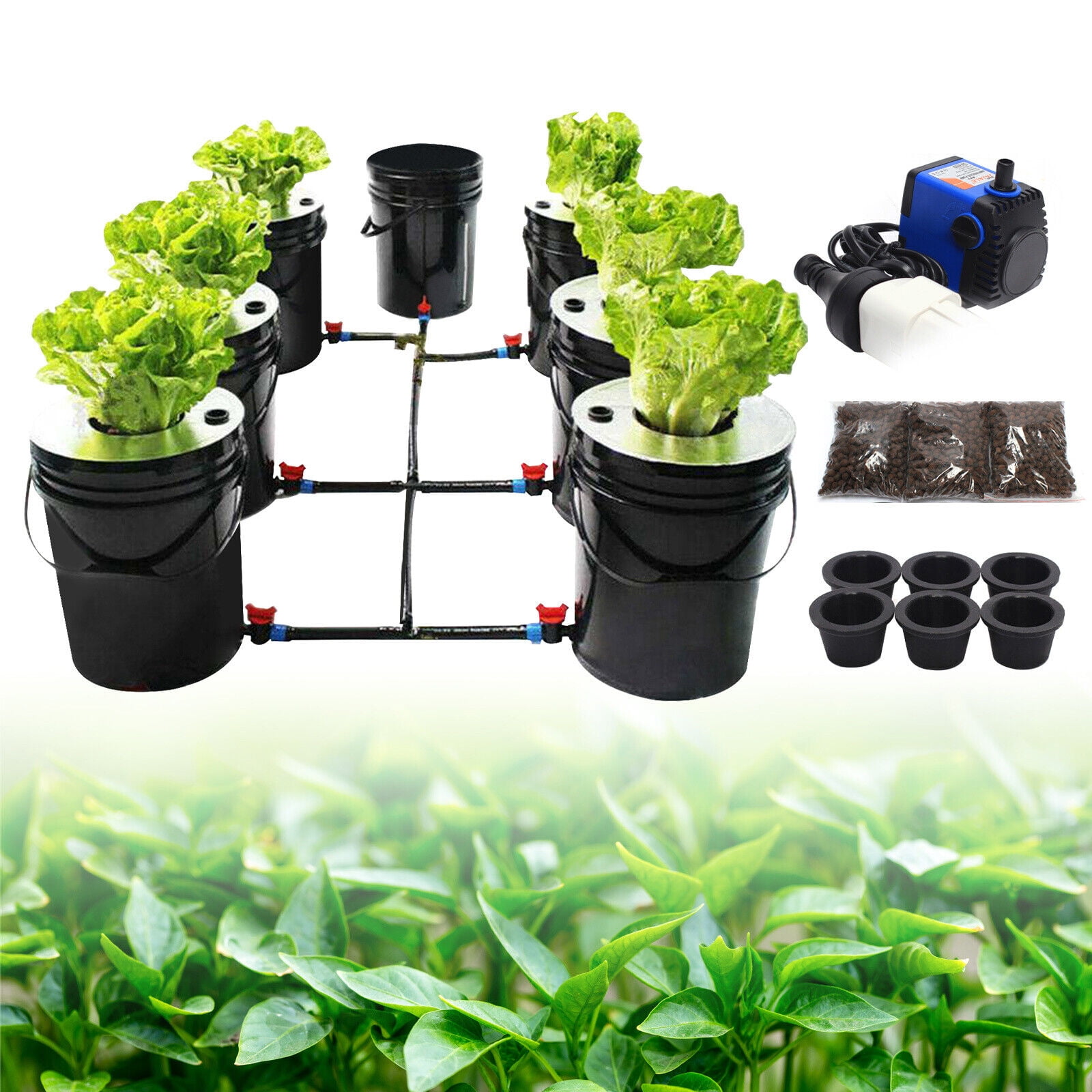 Aiqidi DWC Hydroponics Growing System, 5 Gallon 6 Buckets Recirculating Growing Kit Deep Water ...