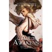 Air Awakens: The Complete Series, (Hardcover) - Walmart.com
