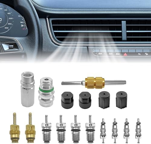 Air Conditioning Valve Core Kit for R12 or R134a | Teflon Seal ...