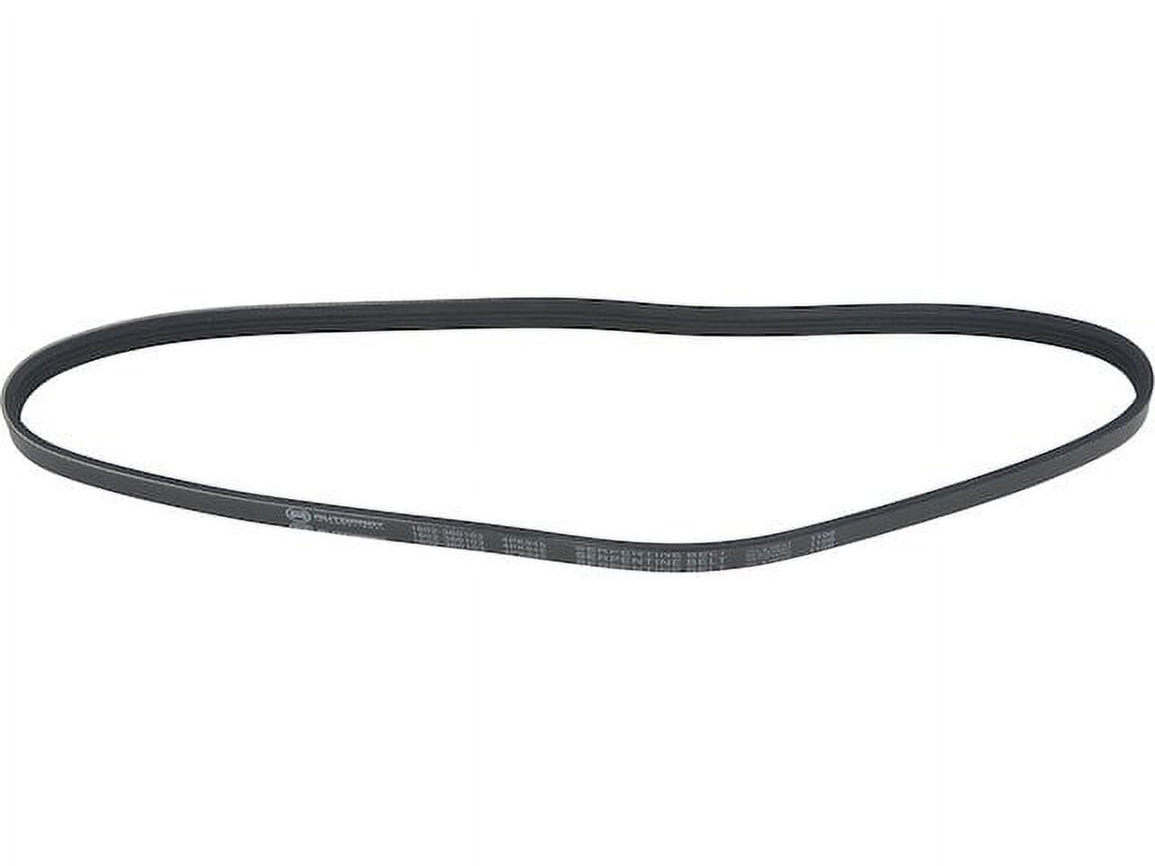 Air Conditioning and Power Steering Multi Rib Belt - Compatible with ...