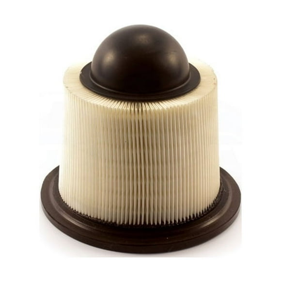 Ford F-150 Air Filters in Ford Air Filters - Walmart.com