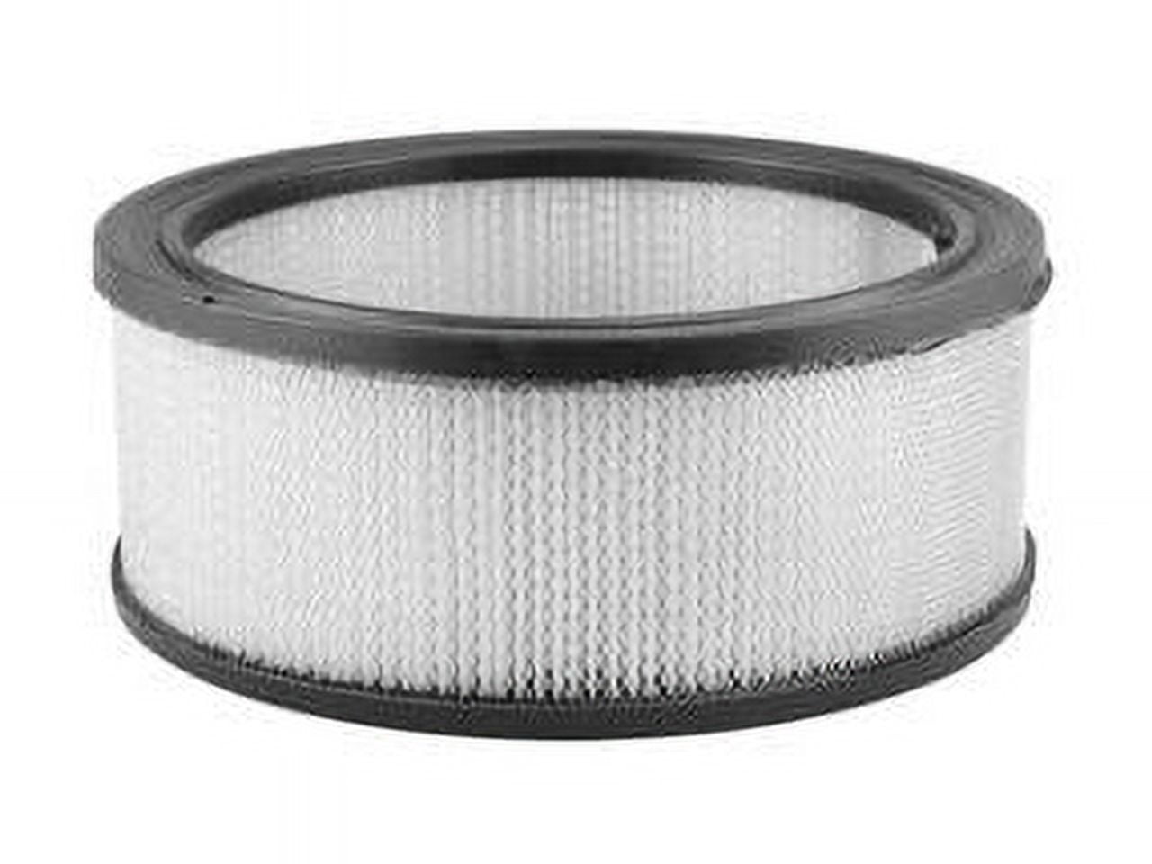 Ford 300 Air Filter
