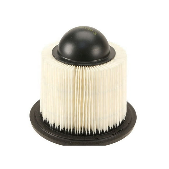 Ford F-150 Air Filters in Ford Air Filters - Walmart.com