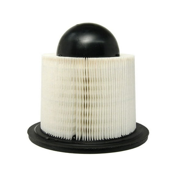 Ford F-150 Air Filters in Ford Air Filters - Walmart.com