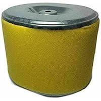 Air Filter Element for Gas Trash Pump, Engine Air Cleaner Compatible ...