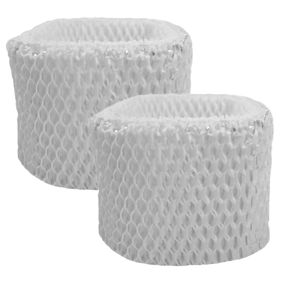Air Filter Factory 2-Pack Compatible Wick Filters for Sunbeam SCM1100 ...