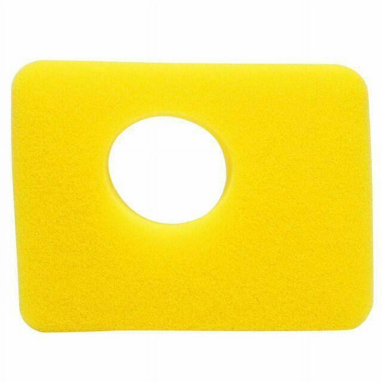 Air Filter for Briggs & Stratton 799579 - Walmart.com