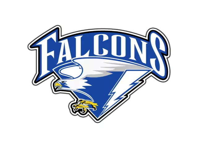 Air Force Falcons Logo #1 Waterproof Sticker Diecut Phone Decal Water ...