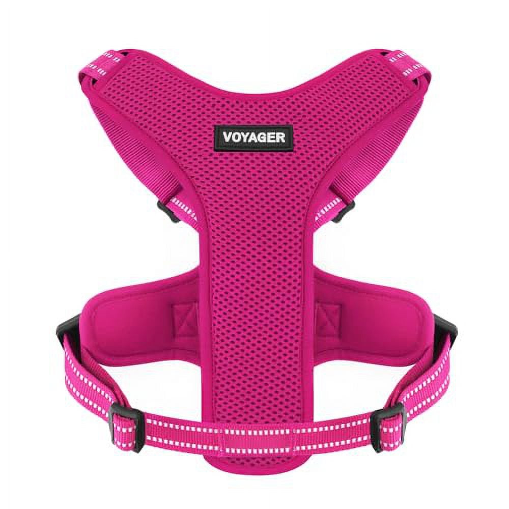 Air Frontier Mesh Dog Harness with Steel Leash D-Ring, Reflective ...