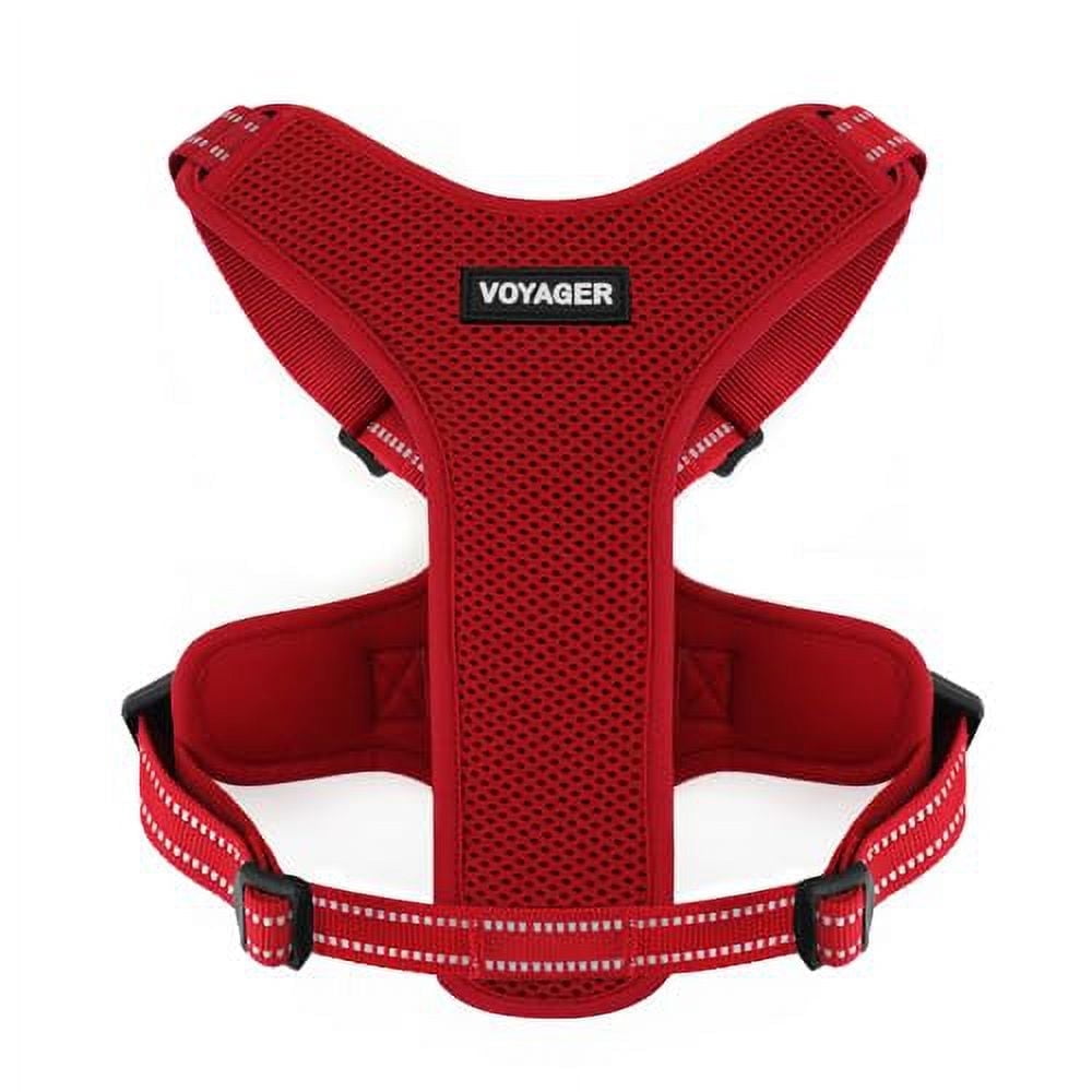 Air Frontier Mesh Dog Harness with Steel Leash D-Ring, Reflective ...