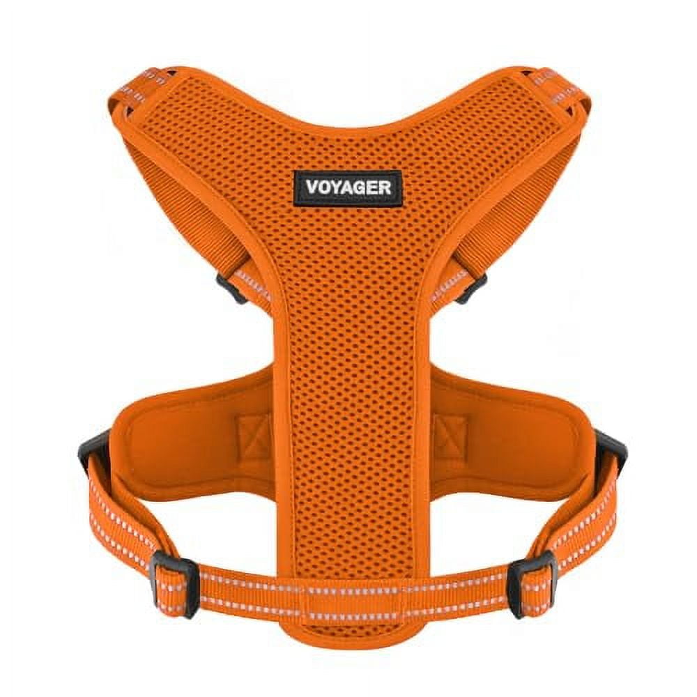 Air Frontier Mesh Dog Harness with Steel Leash D-Ring, Reflective ...