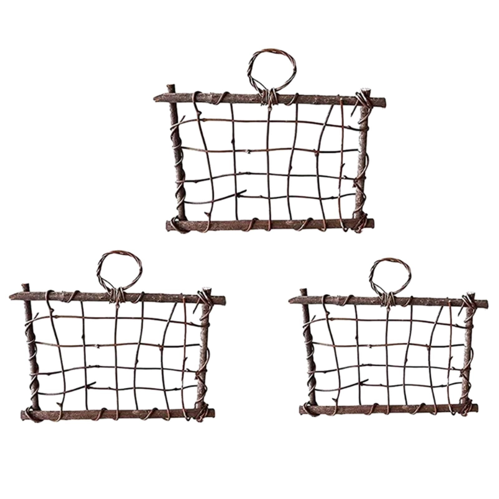Air Plant Frame Holder Tillandsia Display Organizer Air Plant Display ...