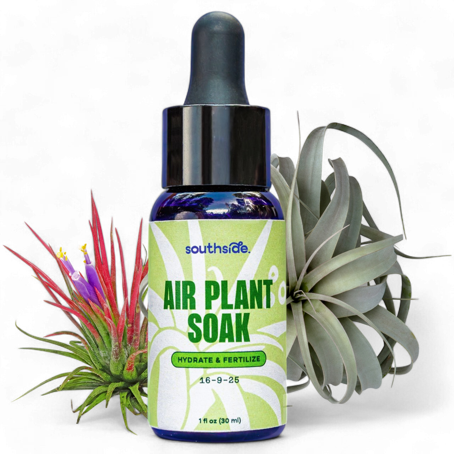 Air Plant Soak by Southside Plants - Fertilizer Mist for Houseplants ...