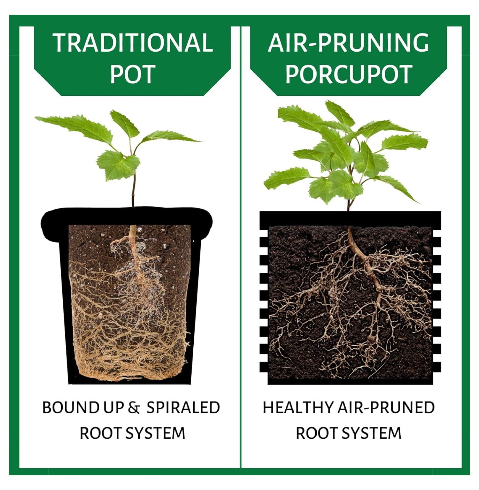 Air Pruning Pots for Plants (2-PACK with Green Handles) – Complete Grow ...