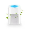 Kiki Pure Mini A1 HEPA USB-C Powered Air Purifier - Walmart.com