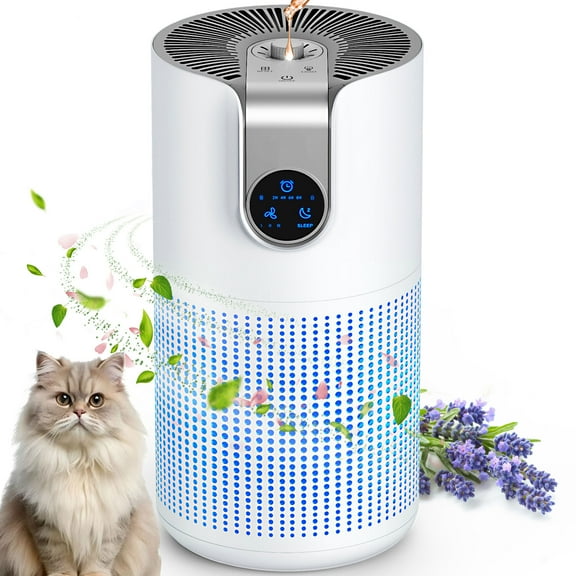 PARTU HEPA Air Purifier BS-03, Aromatherapy, Lock Set, for Dust, Smoke ...