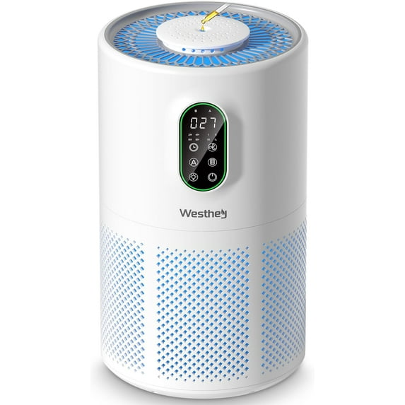 Air Purifiers for Home Large Room up to 1650 ft², H13 True HEPA Air ...