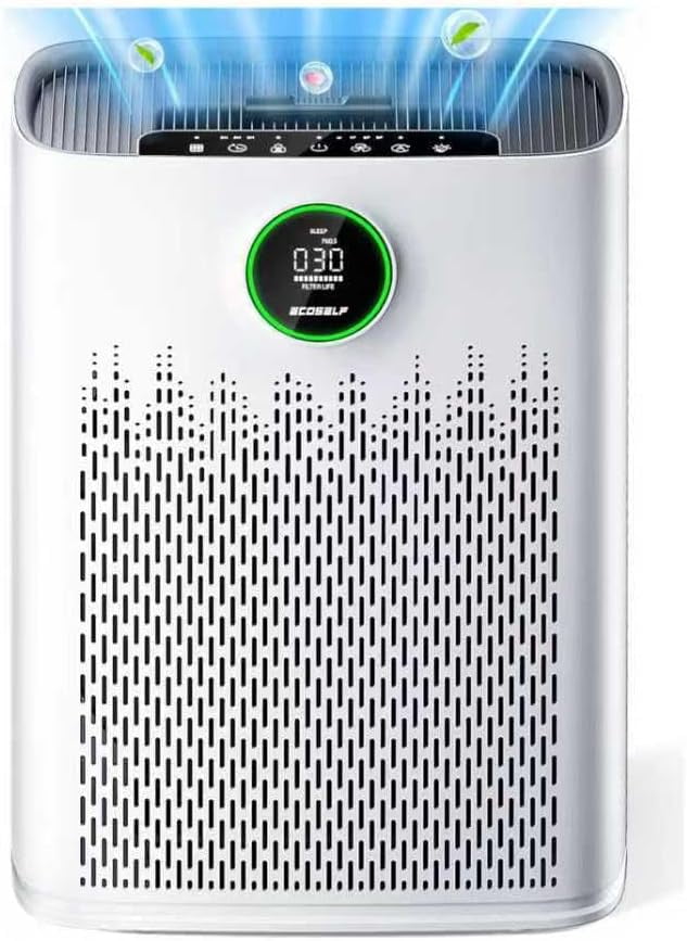 Air Purifiers for Home Large Room, Cover Up to 2400 Ft² with True HEPA ...