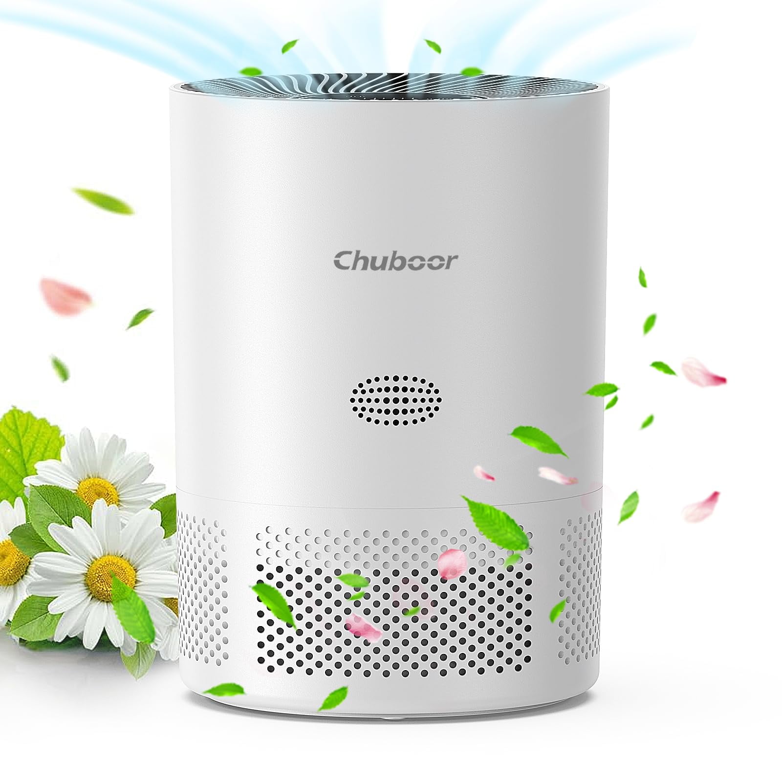 Air Purifiers for Home Large Rooms up to 1500ft2, H13 True HEPA Air ...